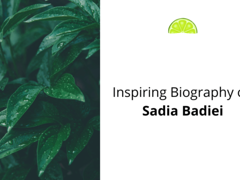 Jason Fenske (Engineering Explained) - Detailed Biography